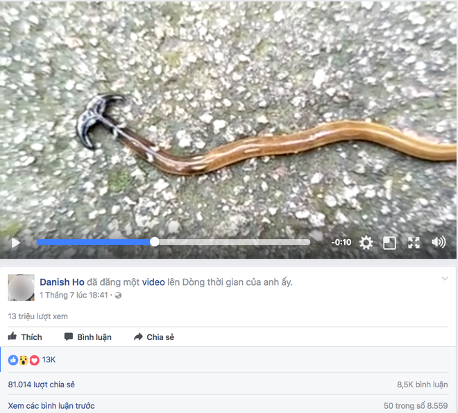 Xuất hiện "Con rắn lạ" khiến hàng triệu người kinh ngạc | Thời Đại